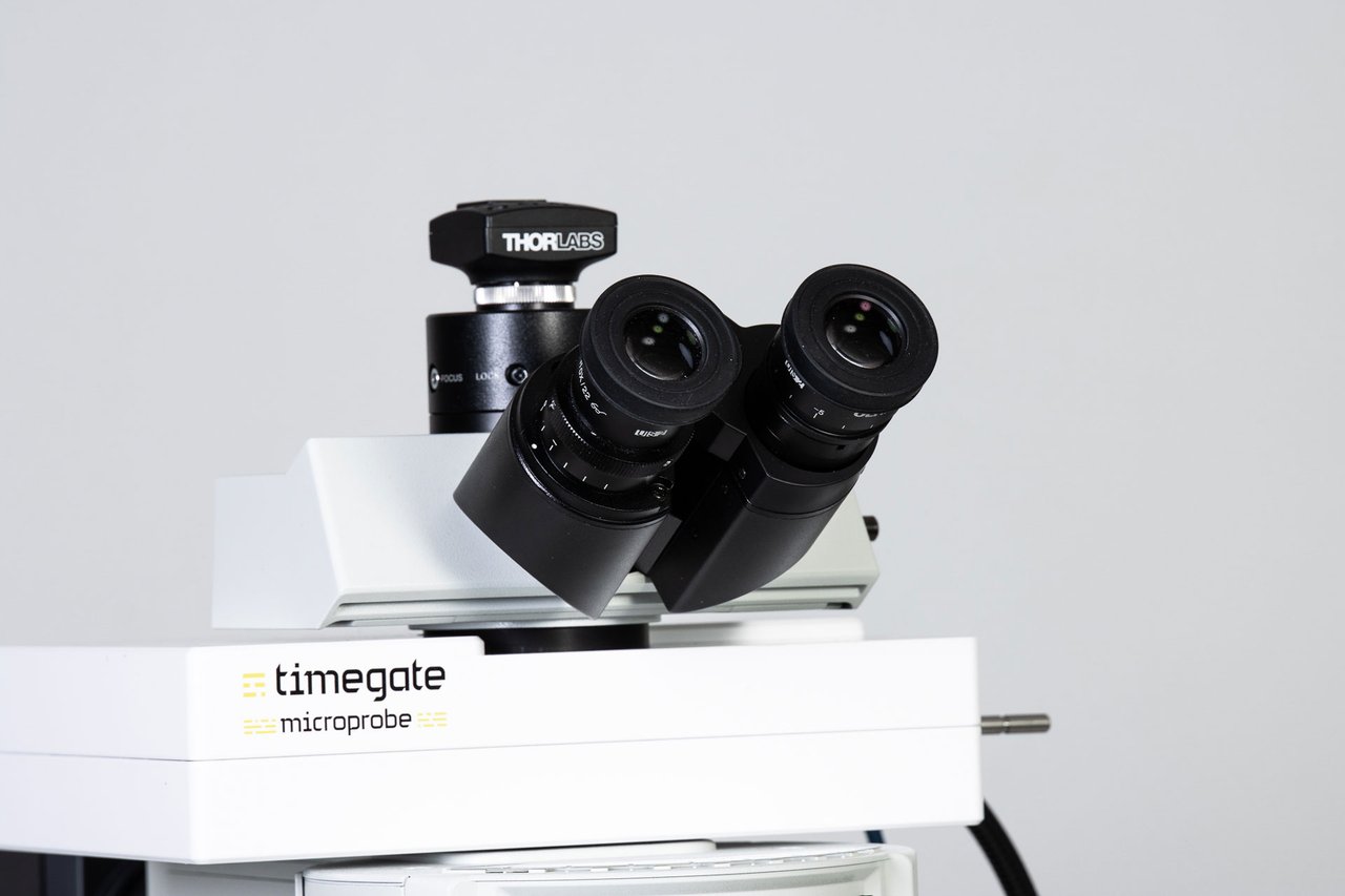 Microprobe | Timegated® Raman Technology