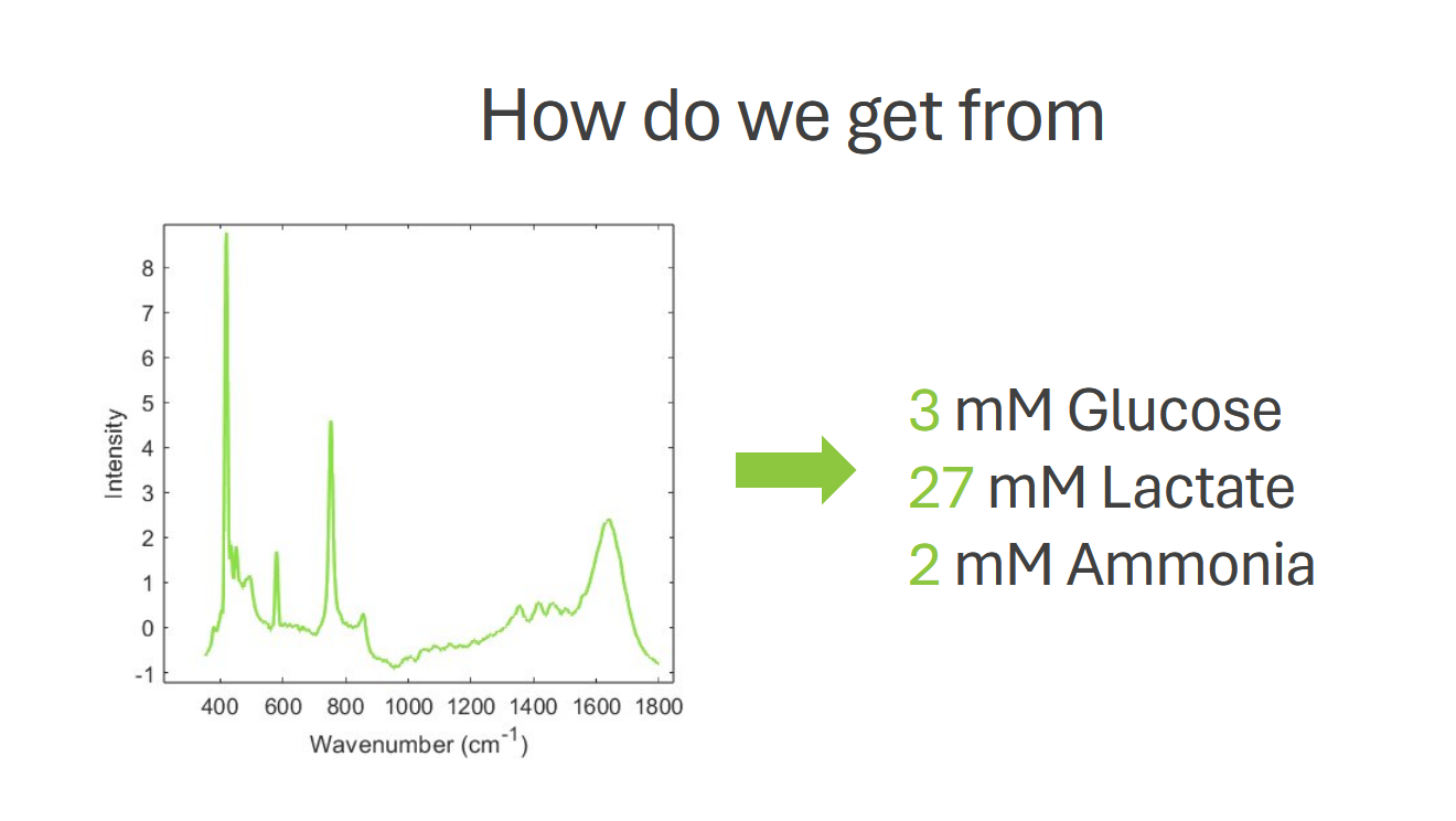 Spiking: A Tool for Faster Model Calibration in Biopharmaceuticals